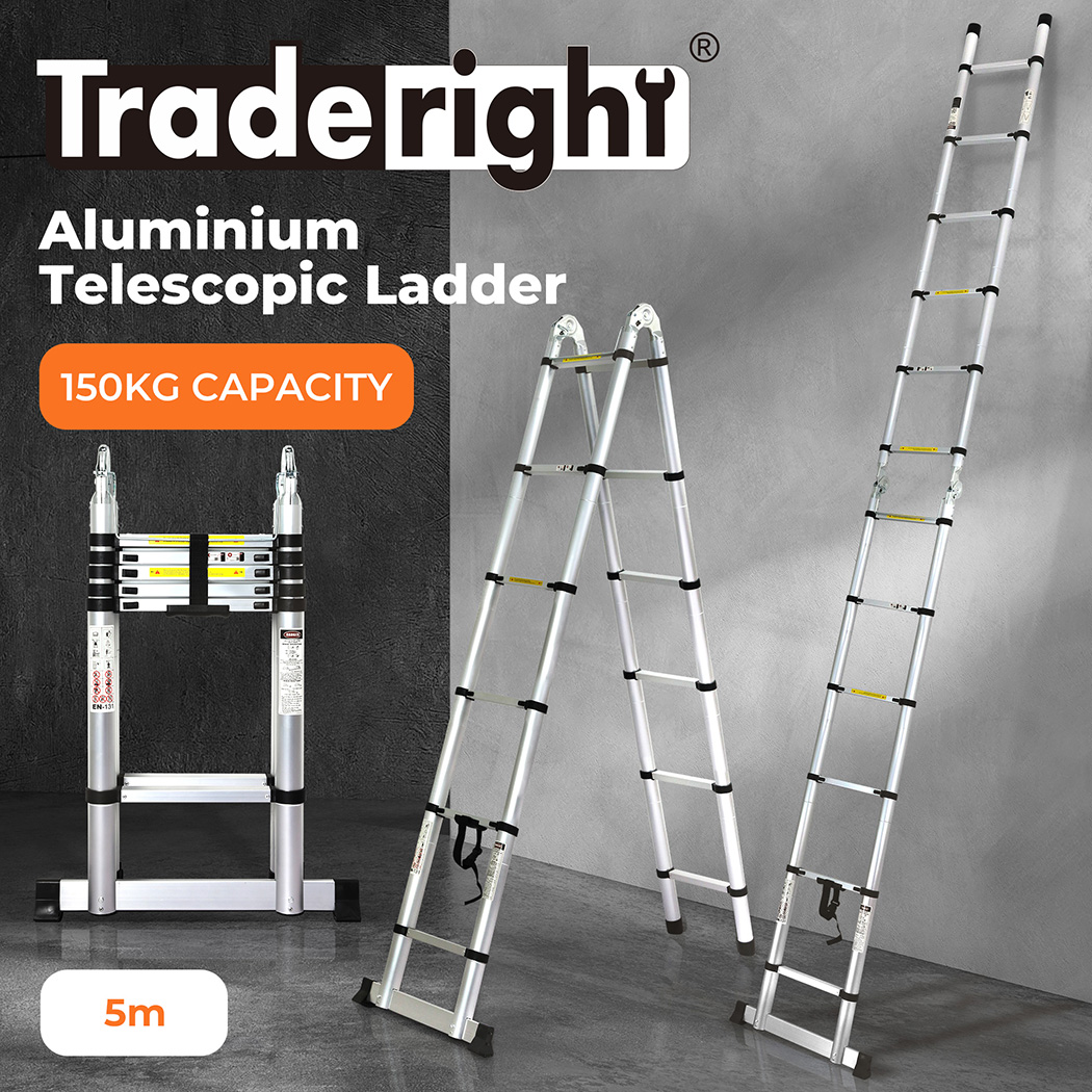 5m multi purpose ladder store